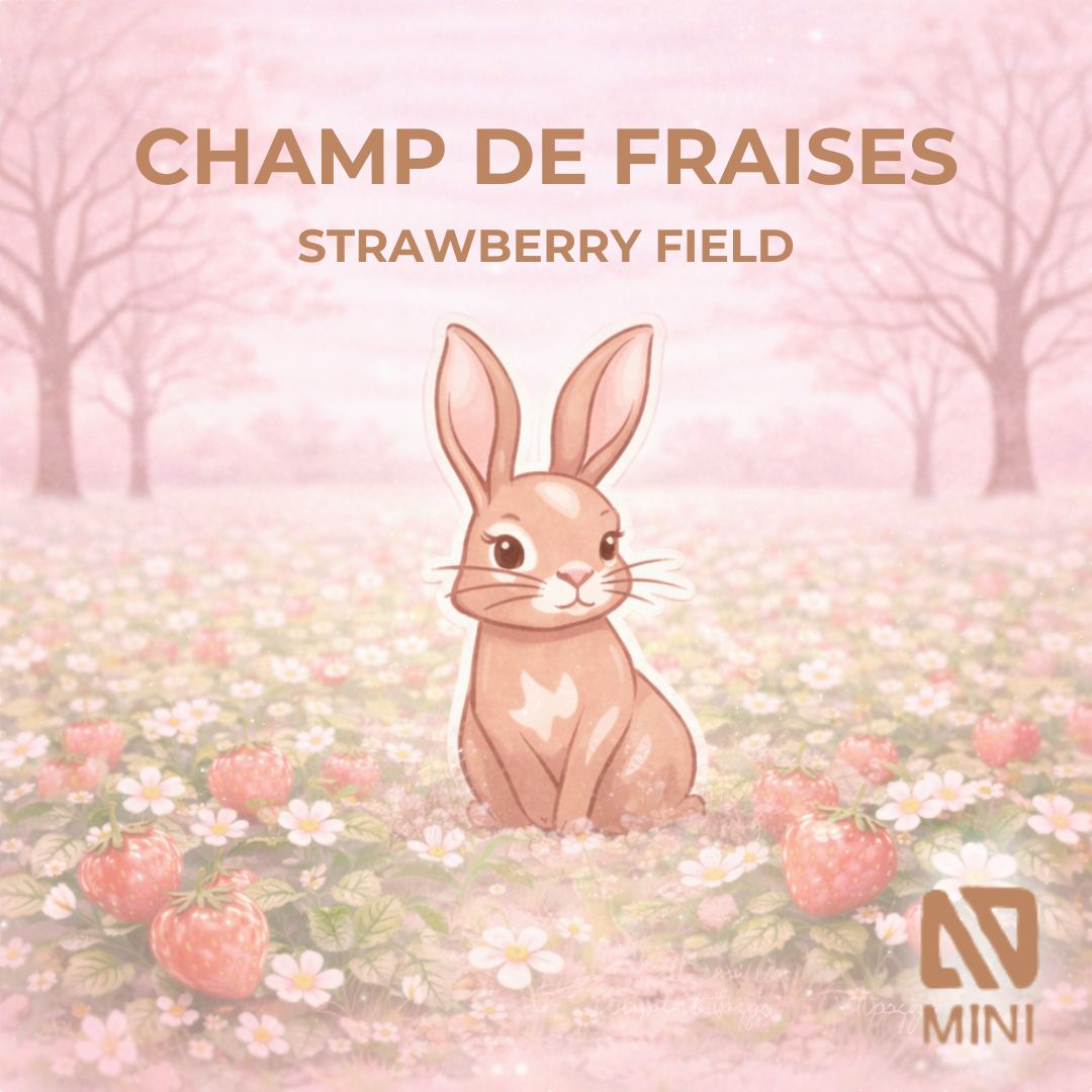 Champ de fraises – nano.ca